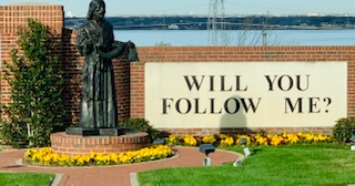 A Root Called Pride – Table of Olives